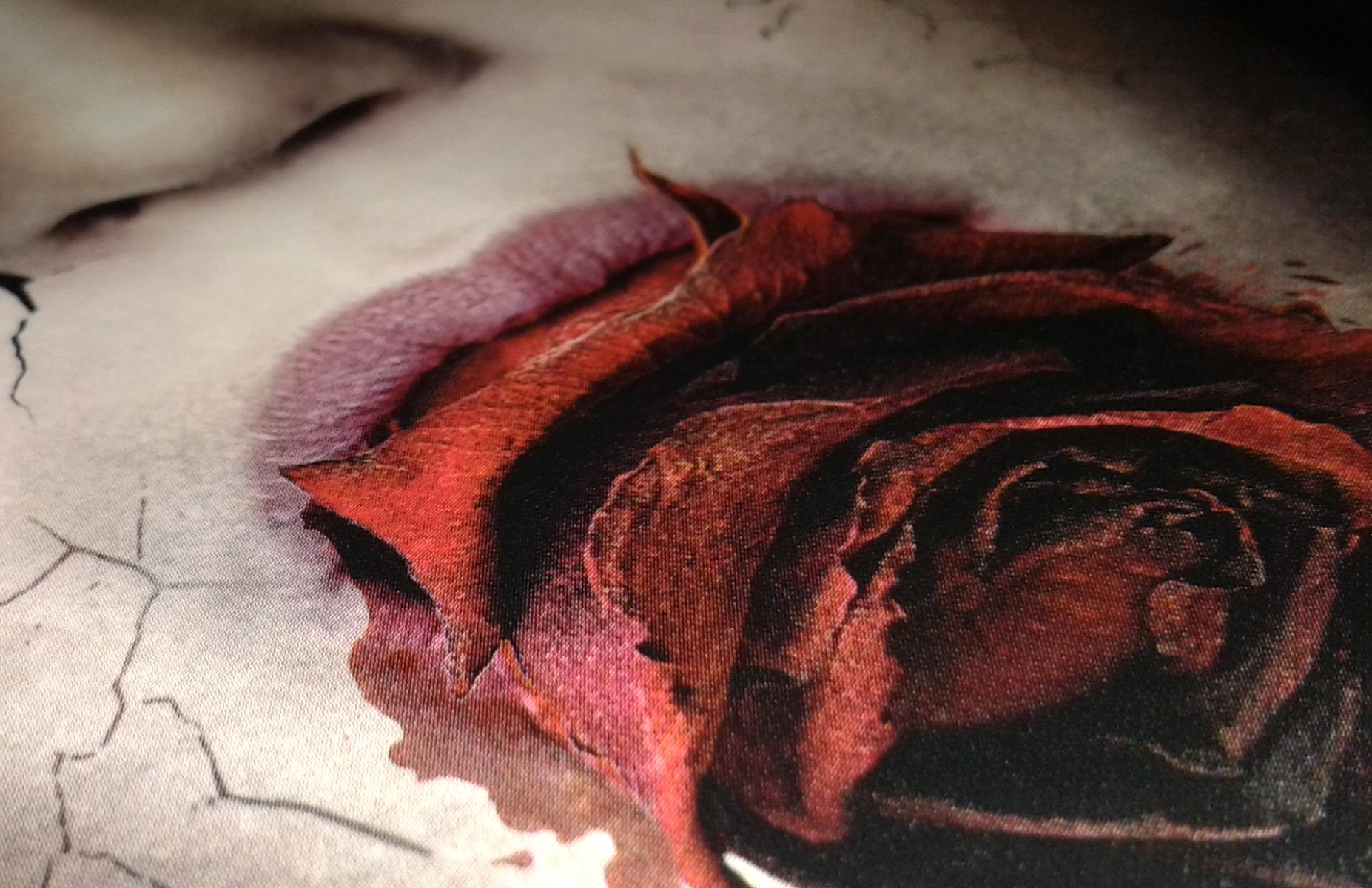Mediabook - Under The Rose (Mediabook Blu-Ray/DVD) (Indeed Films ...