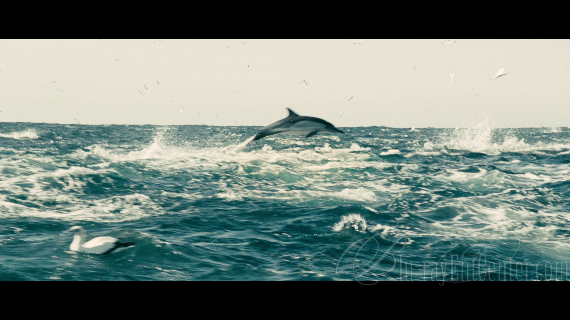 Oceans-4 | Hi-Def Ninja - Blu-ray SteelBooks - Pop Culture - Movie News