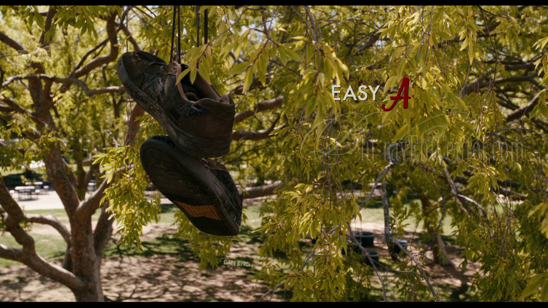 Easy A Blu-ray Review | Hi-Def Ninja - Blu-ray SteelBooks - Pop Culture ...
