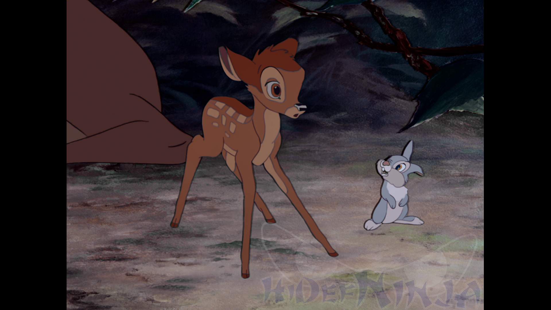 Bambi-4 | Hi-Def Ninja - Blu-ray SteelBooks - Pop Culture - Movie News