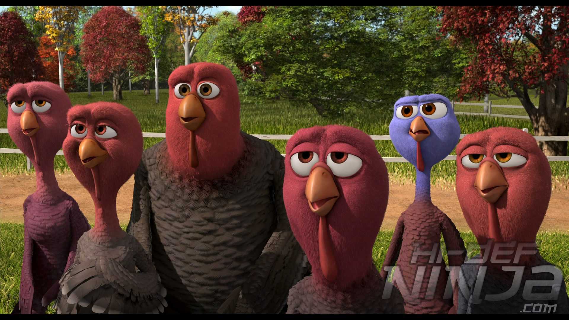 Free Birds Blu-ray Review | Hi-Def Ninja - Blu-ray SteelBooks - Pop ...