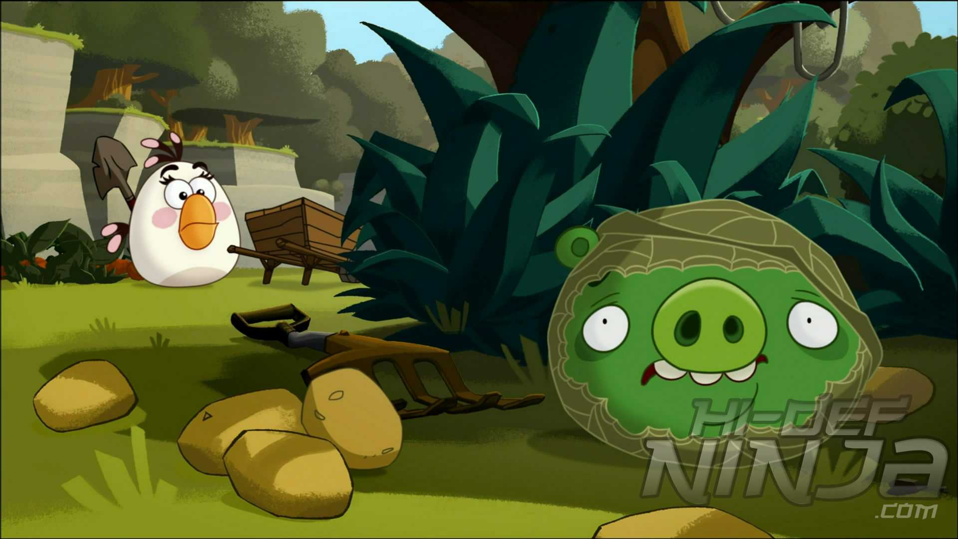 Angry Birds Toons Piggy Wig