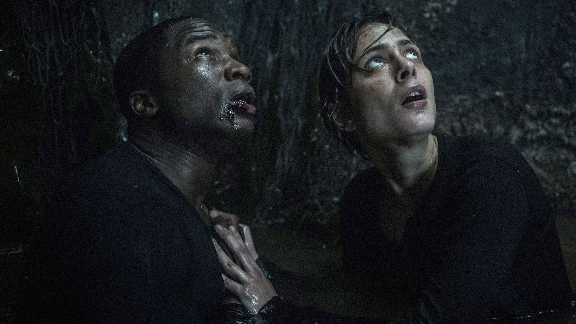 THE COLONY Blu-ray Review | Hi-Def Ninja - Blu-ray SteelBooks - Pop ...